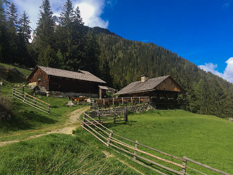 Die Berger Alm in Antholz - Ferienwohnungen Bergerhof